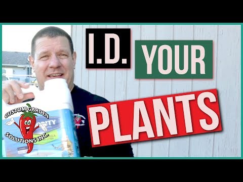 Plant Tags For Vegetable Garden - Easy Way To Identify Your Plants