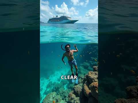 Travel Hawaii Cruises 2025 🚢 | Ultimate Luxury Cruise Experience