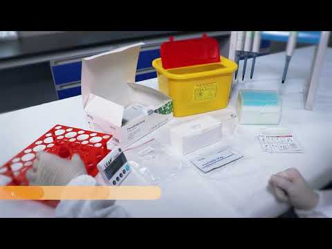 Flu+COVID-19 Ag Test Kit VTM Sample Operation Video (Colloidal Gold)