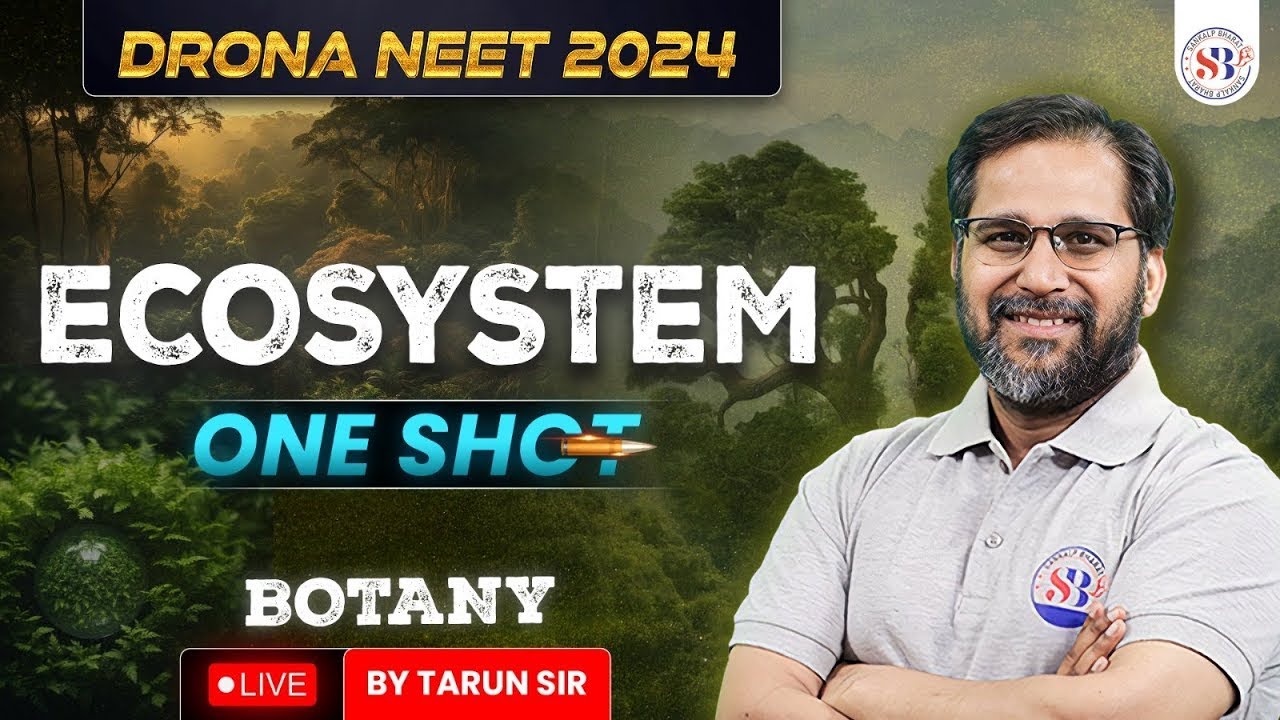 Understanding Ecosystems: A Comprehensive Guide for NEET 2024 | Galaxy.ai