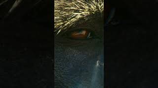 The moment we’ve all been waiting for ???? | BBC Earth