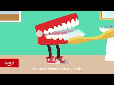 Cómo cepillarse los dientes correctamente | Colgate® – Sykes Woodward
