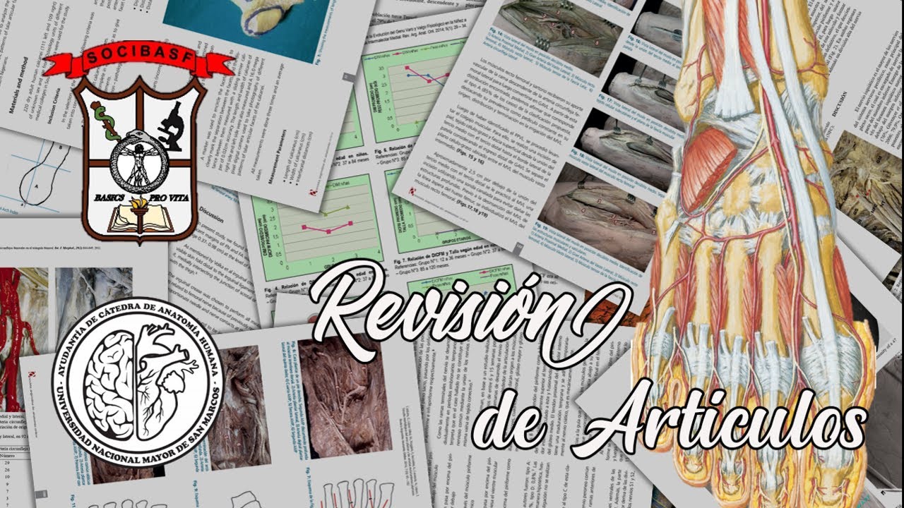Revisión de artículos. Anatomía de la arteria dorsal del pie