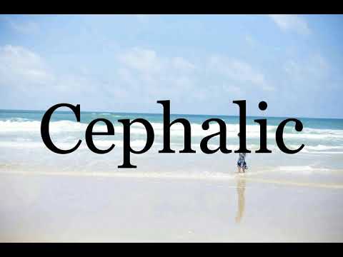 How To Pronounce Cephalic🌈🌈🌈🌈🌈🌈Pronunciation Of Cephalic