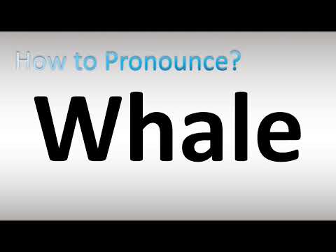 How to Pronounce Whale