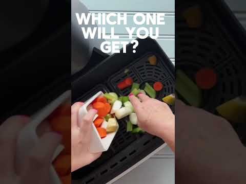 Ninja Flexdrawer vs Dual Max Review