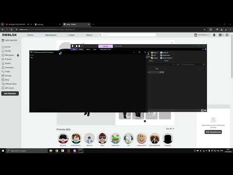 roblox cookie logger (hoodzz stealer)