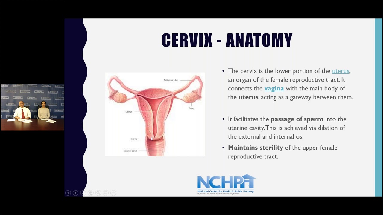 AMIGAS Cervical Cancer Prevention Program Learning Collaborative