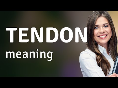 Tendon | TENDON definition