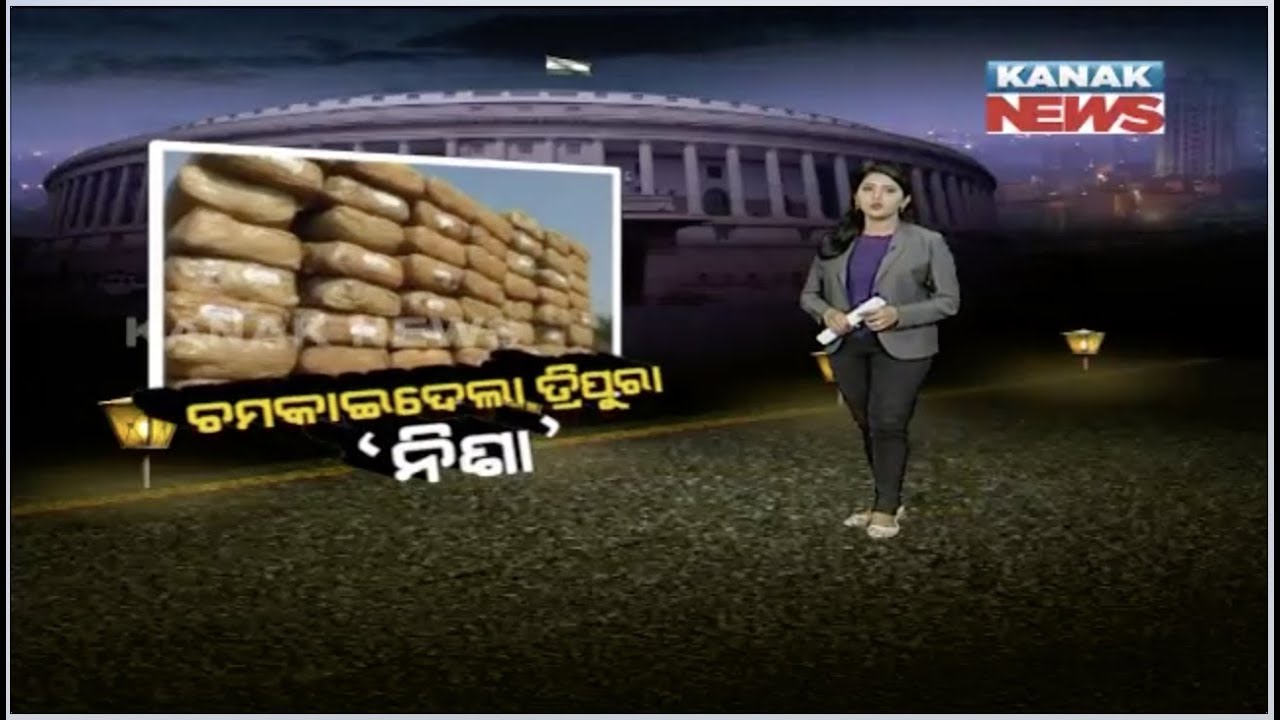 Seized Narcotics Worth Over Rs 8 Crore Destroyed In Tripura