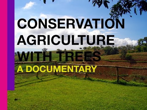 Conservation Agriculture with Trees in the Philippines: A Documentary