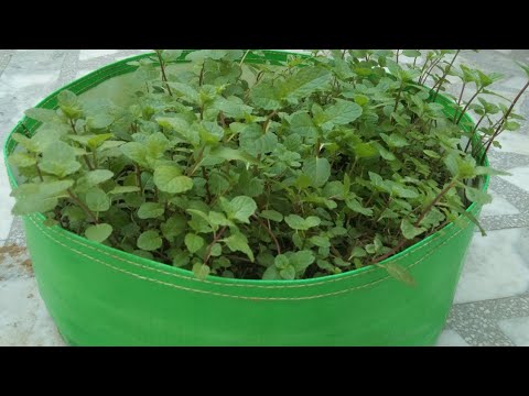 Vermi Beds - Vermicompost Beds Latest Price, Manufacturers & Suppliers