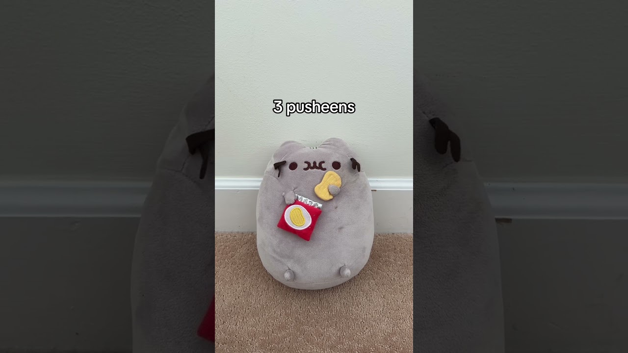 ANOTHER ONE #pusheen #plush #plushies #cat #kitty #kawaii #cute #squish #squishmallows #collection