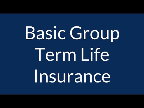 What Is Basic Group Term Life Insurance?