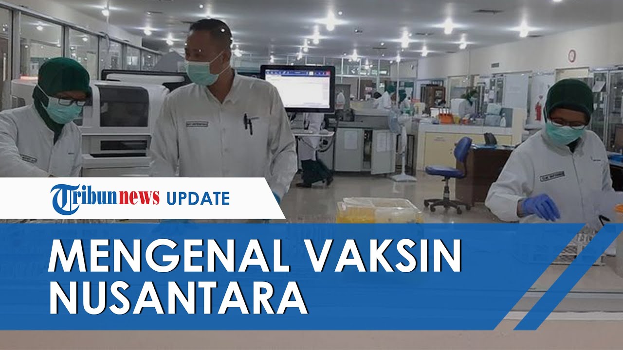 Mengenal Vaksin Nusantara Terawan, Ini Bedanya dengan Vaksin Konvensional Lain