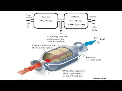 Chapter 12, Sec 7: Catalysts (examples in nature)
