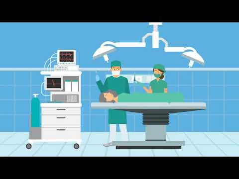 James v. Wormuth Case Brief Summary | Law Case Explained