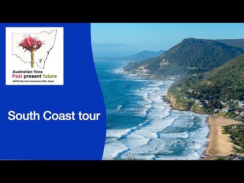 South Coast Tour