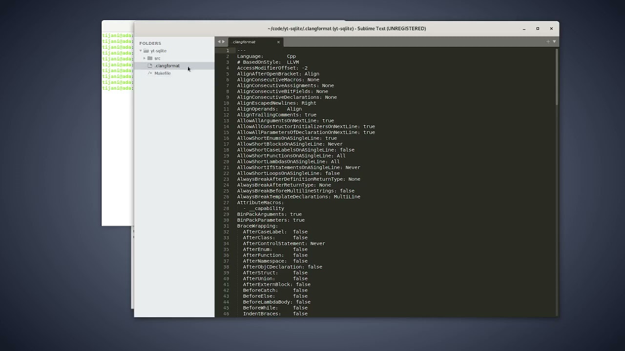 C/C++ SQLite Tutorial: Including In Your Project