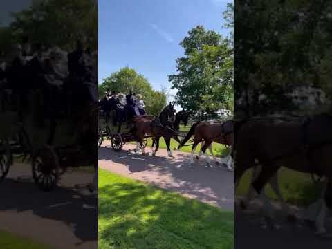 Royal Ascot with Windsor Carriages