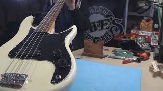 Peavey Patriot Bass - What To Know & Where To Buy | Equipboard