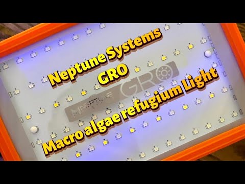 Neptune Systems GRO - Macroalgae Refugium Light
