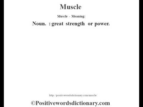 Muscle definition | Muscle meaning