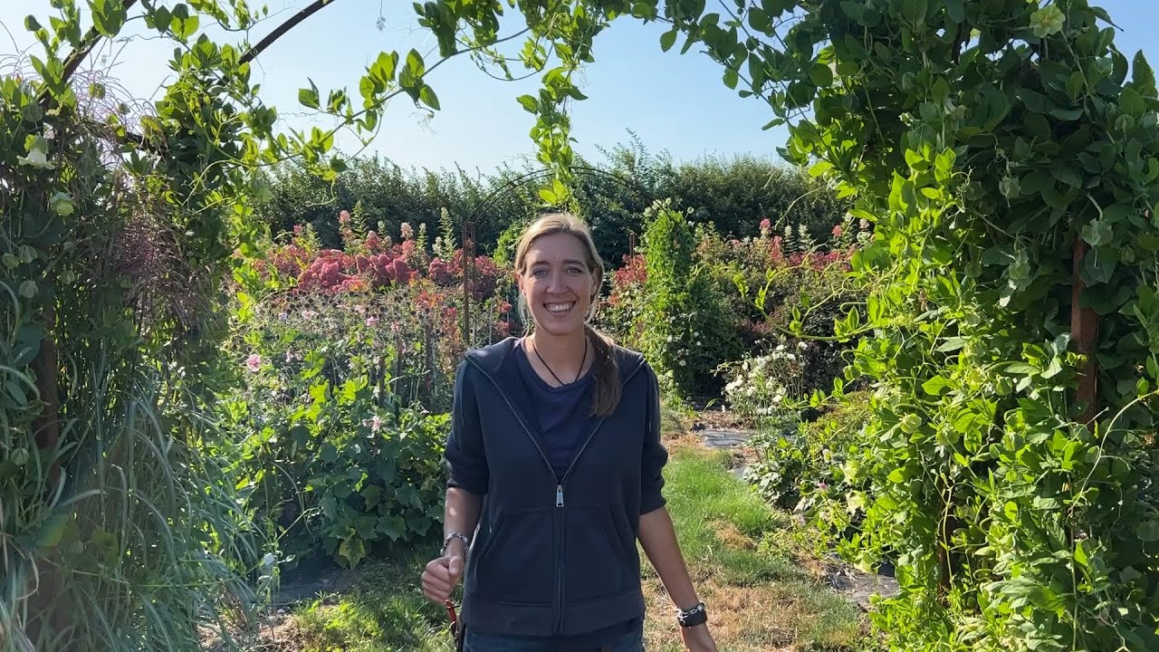 Floret Farm Tour: Hydrangeas