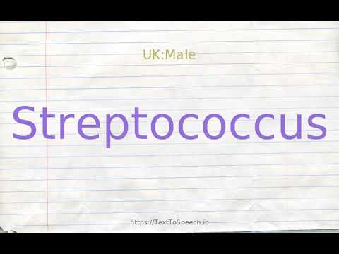 How to pronounce streptococcus