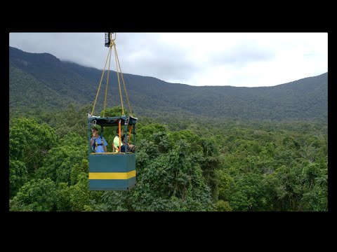 Daintree Rainforest Observatory