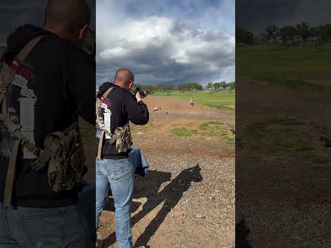 Smoothest lever gun I’ve shot: Marlin 94 #leveraction #guns #gunshorts