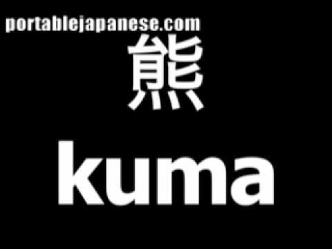 Japanese word for bear is kuma