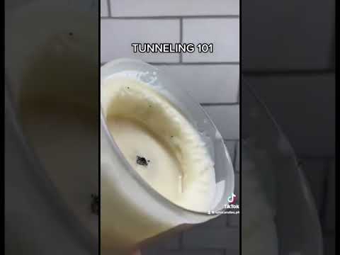 How to Fix Candle Tunneling