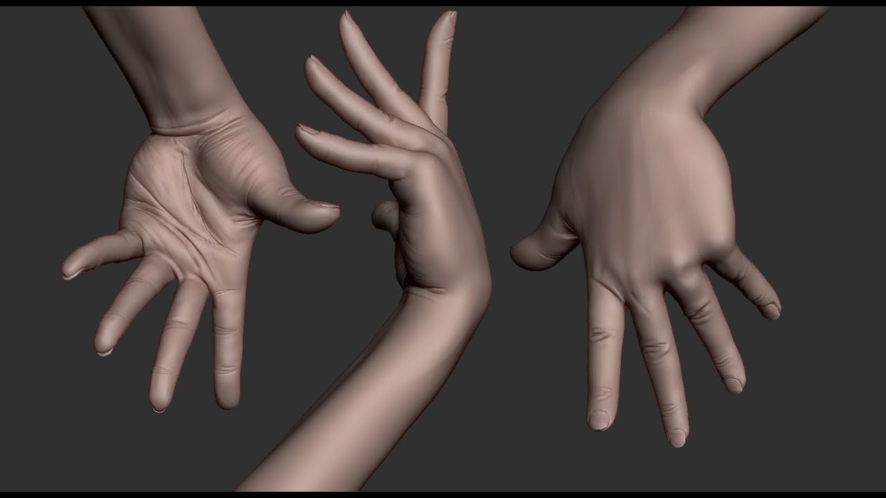 [Zbrush] Doing a posed hand study in 3 hours