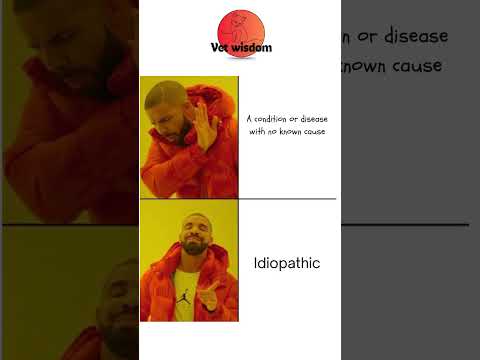 Vet Daily Term: Idiopathic
