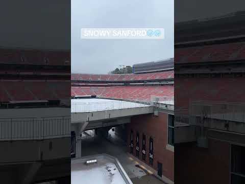 SNOWY SANFORD IS GLORIOUS🙌❄️ #godawgs #uga #georgiabulldogs