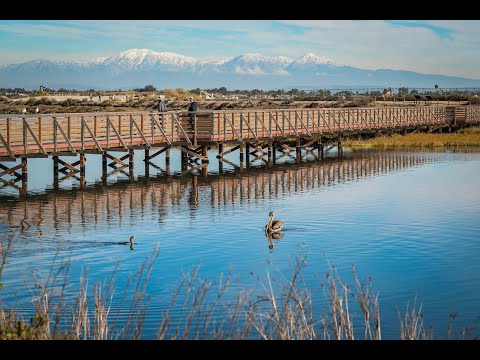 Bolsa Chica Wetlands