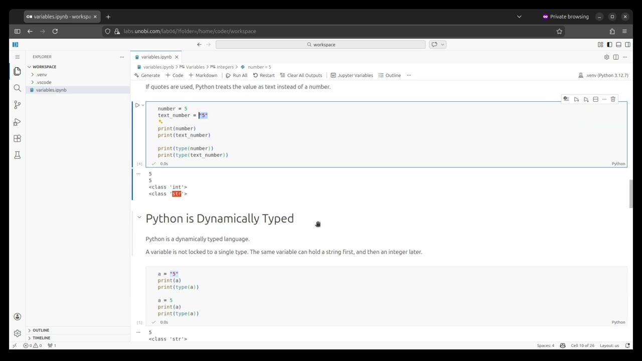 Python Variables Explained | Strings, Integers, Booleans, and Casting