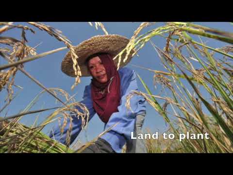 Bulong ng Kalikasan Song - English Subtitles