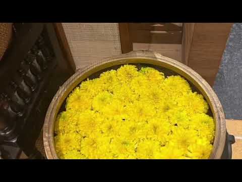 Mumbai Taj | President IHLC | Luxury stay|