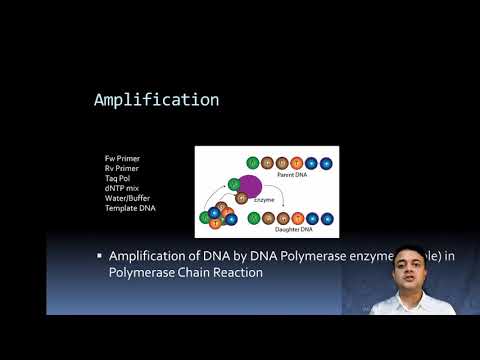 DNA Barcoding: Primer Design, Sequencing and Contig Assembly