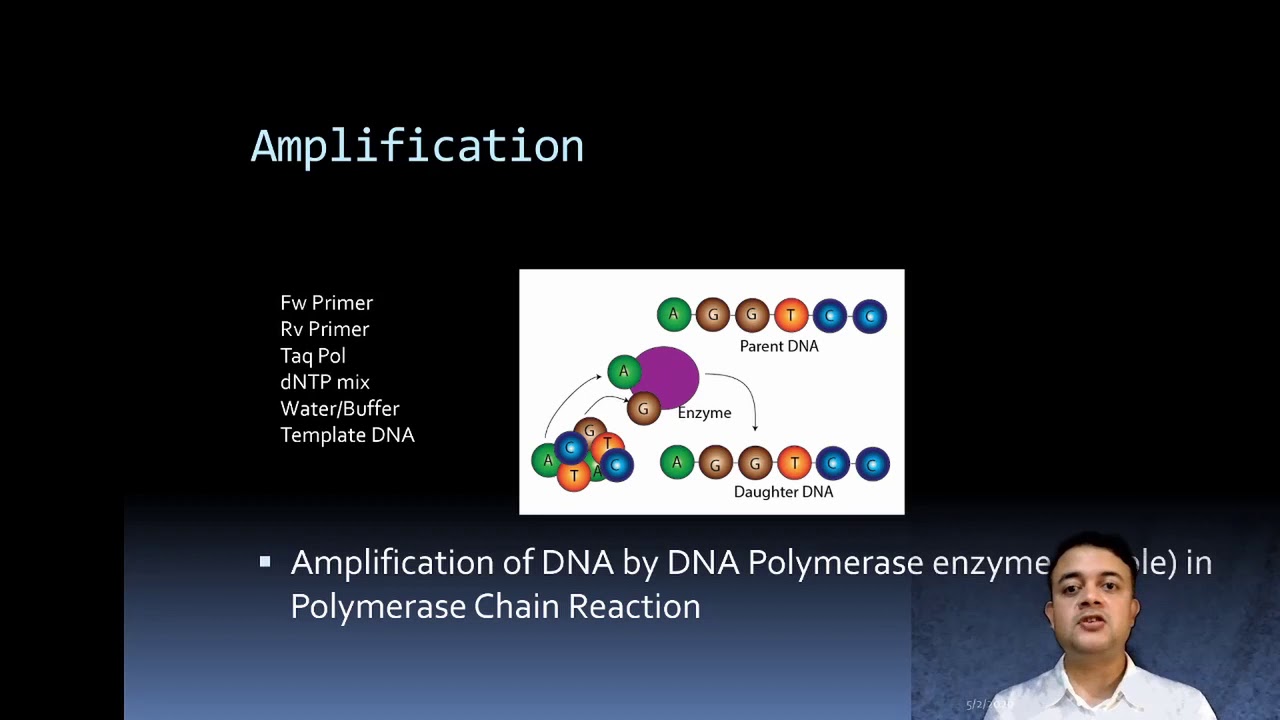 DNA Barcoding: Primer Design, Sequencing and Contig Assembly