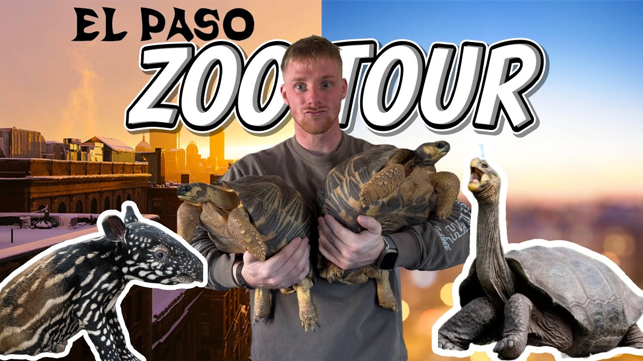 The El Paso Zoo tour NEW Exhibits