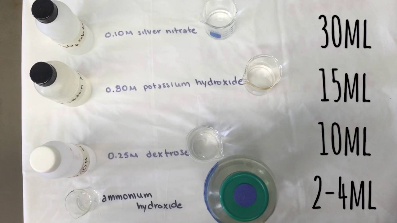 Mirrored Flask Demo