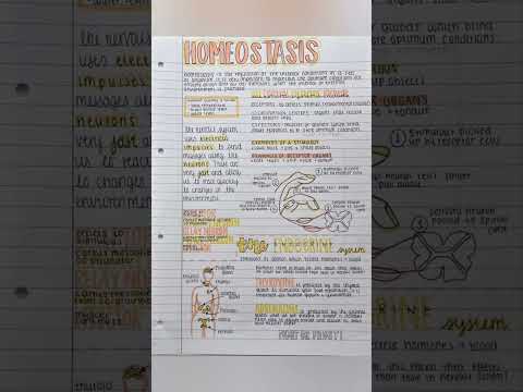 Homeostasis PHYSIOLOGY