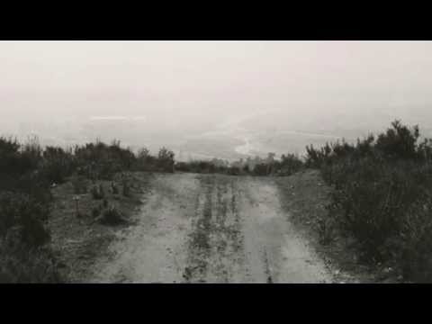 Robert Adams: Green/Gray, Photographs in the Los Angeles Basin
