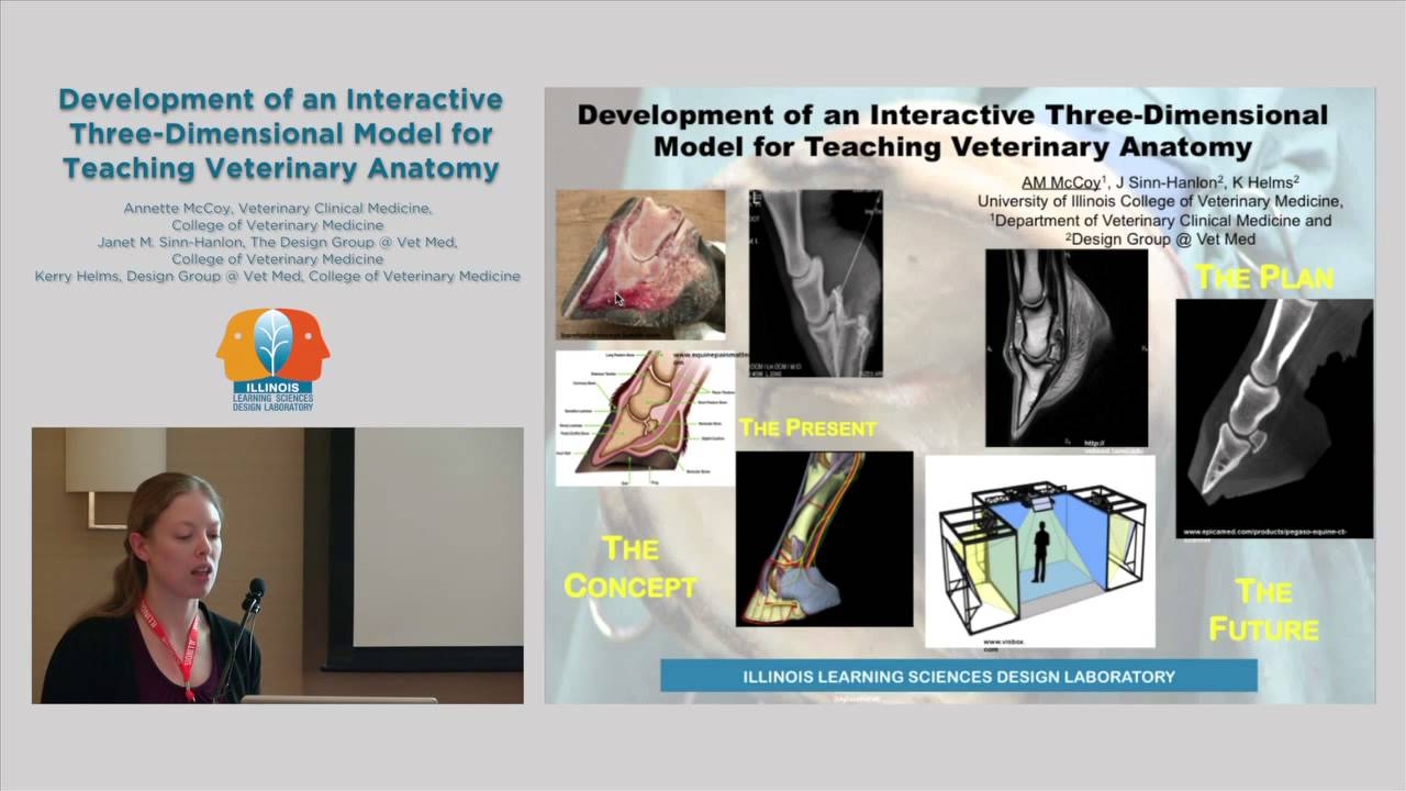 Development of an Interactive Three-Dimensional Model for Teaching Veterinary Anatomy