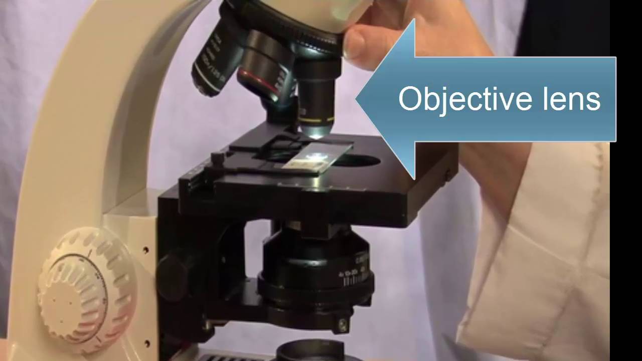Part 1: Introduction to Microscopy