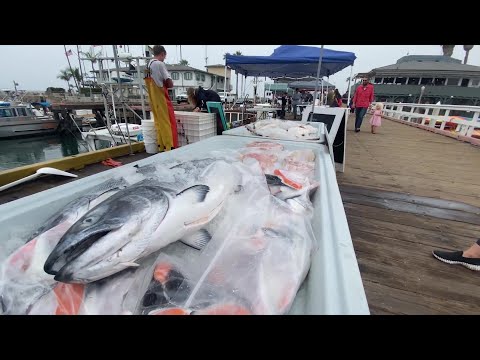 Fishing industry hooked up again after recent storm impacts
