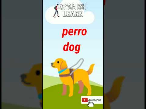 Dog Spanish language Vocabulary